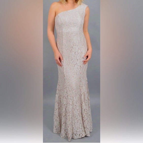 Night Way Collections | Dresses | Nightway Silver Lace Evening Formal ...